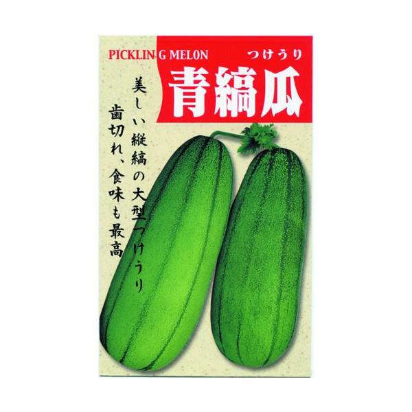美しい縦縞の大型つけうり！歯切れ、食味も最高！ ■容量は季節により変更となる場合がございますが、価格に変更はございません。 メール便で10袋まで同梱できます。