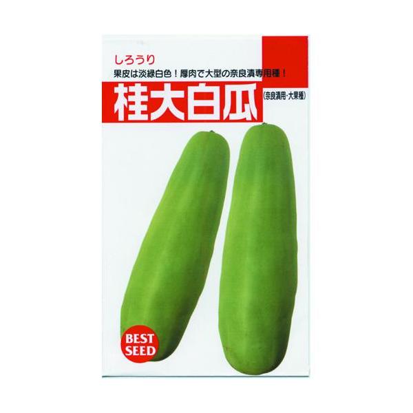 果皮は淡緑白色！肉厚で大型の奈良漬専用種！ ■容量は季節により変更となる場合がございますが、価格に変更はございません。 メール便で10袋まで同梱できます。