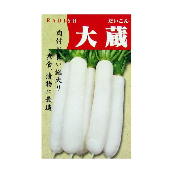 ウイルス病にかなり強く、早太り性にすぐれた白首の詰まり系大根。根形の整いよく、早くから尻がつまって、形のできあがりが早いので、早どりに好適。適期まきでは、播種後71日ぐらいで根長45cm、根径8cm程度。ス入りが少なく、肉質良好で、煮食・漬...