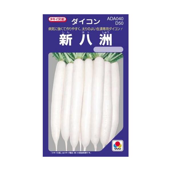 お漬け物に最高！【品種の特徴/栽培に関して】  ウイルス病などの一般病害のほか、萎黄病にもかなり強いので作りやすく、変色の心配がない、品質のよい生漬専用の漬物大根。葉は立性でおとなしく、密植栽培にも向く。根部は「八洲」タイプで、そろいよく、...