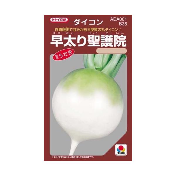 早太り性で良質の丸ダイコン。肌のツヤと形の整いがよく、根割れによるクズも少ない。肉質は緻密で甘みがあり、おでんなど煮食用として最適で、浅漬用にも適する。適期栽培では根径15cm、根重2〜2.5kg程度に太り、ス入りも遅い。 ■容量は季節によ...