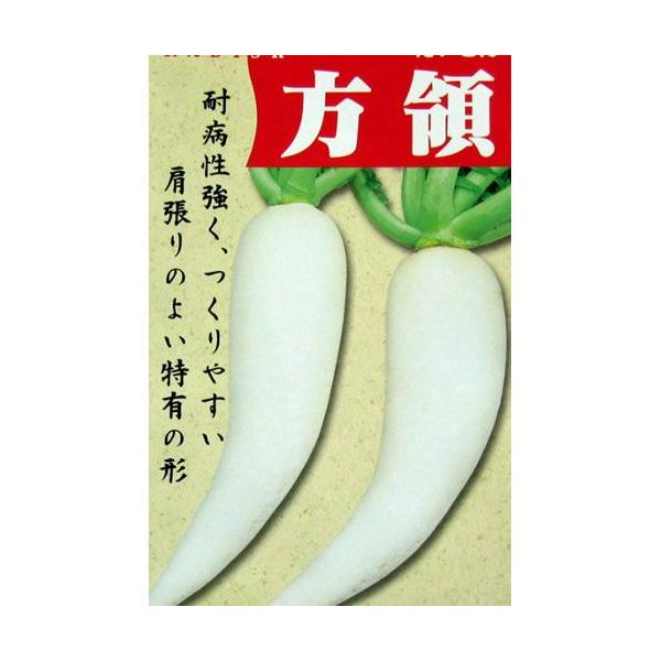 草勢旺盛で、茎葉はよく地上を覆い、寒さから根部を守る。根形は長円錐形の肩太り型で、尻部は湾曲して尖り気味となる。根長は41〜45cm程度。肉質は緻密で甘味に富み、煮食・漬物用として最適。耐寒性にすぐれて、ス入りも遅いため、冬どり用としても好...