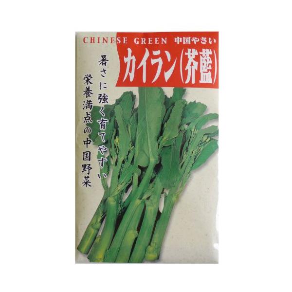 キャベツとブロッコリを、一緒にしたような南方系野菜で、暑さに強くて作りやすい。高温期でもトウが伸びて、この多肉質の若い茎を主体に、その先の若葉や花蕾を油炒めなどにして食べる。播種後60〜70日で収穫でき、夏場の緑色野菜として、家庭菜園を中心...