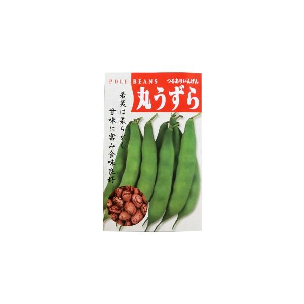 ツルあり種で、極めて強勢な豊産種!子実は大粒で、淡褐色地の赤褐色の粗い斑紋が入る。用途は主に煮豆用であるが、若莢を食用に供することもある。 ■容量は季節により変更となる場合がございますが、価格に変更はございません。 メール便で10袋まで同梱...