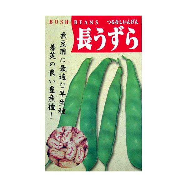生育の早い早生タイプ、莢は緑色の平型、長さ12〜15cm位。若莢は繊維の少なく柔らかで甘味、風味に富み食味最高。子実は長型で茶褐色の縞が入り煮豆用として人気があります。 ■容量は季節により変更となる場合がございますが、価格に変更はございませ...