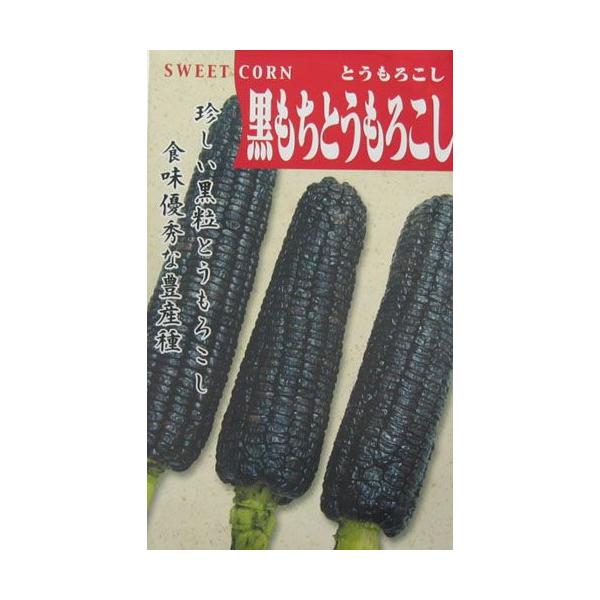 熟すにつれ実が黒く変化する珍しいトウモロコシです。本種は草勢強健で、土質を選ばずによく生育する、早生優良種です。 ■容量は季節により変更となる場合がございますが、価格に変更はございません。 メール便で10袋まで同梱できます。