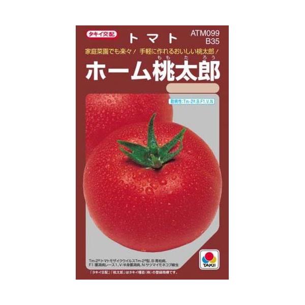 大玉を初めて作るならコレ！従来の桃太郎よりも栽培しやすく改良された品種