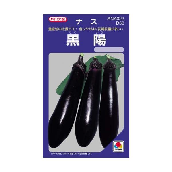 極早生で豊産の、長ナスの代表的品種。果形は、太めの長ナスで、「長者」よりもやや短い。ヘタがやや大きくて、重量感があり、果ぞろいと上物率が高い。果色は濃い黒紫色でツヤがあり、夏ボケ果と石ナスが特に少ない。長ナス品種群の中では、特に初期収量が多...