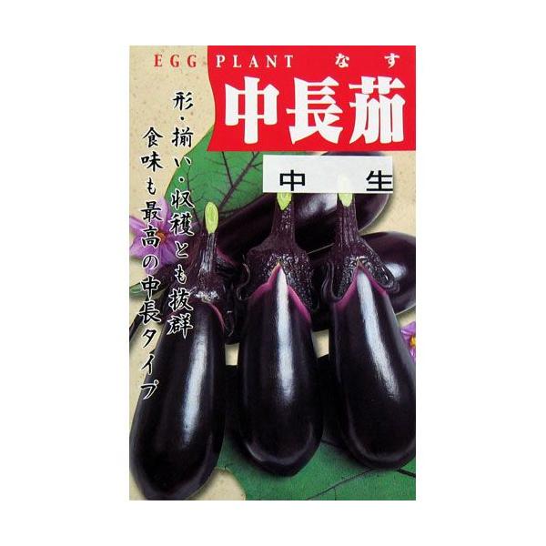 形・揃い・収穫とも抜群食味も最高の中長タイプ！ ■容量は季節により変更となる場合がございますが、価格に変更はございません。 メール便で10袋まで同梱できます。
