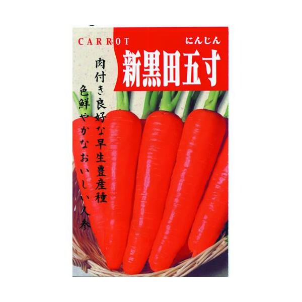 「黒田五寸」よりやや短いが、肉付きよく、尻づまりと色ツヤが一層すぐれた、耐暑・耐病性の強い、早太りの多収種。根色は、肉部・芯部ともに鮮紅色。肌はなめらかでツヤがあり、肉質緻密でやわらかく、甘味に富む。適期まきでは、播種後111日で十分に肥大...