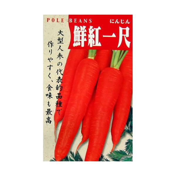 長さ31〜40cm位、太さ10cm位の長大型タイプ！。根は鮮やかな紅橙色、型から根元まで肉付きよく揃いも抜群。病気にも強く丈夫で作りやすく、ボリューム満点のニンジンです。 ■容量は季節により変更となる場合がございますが、価格に変更はございま...