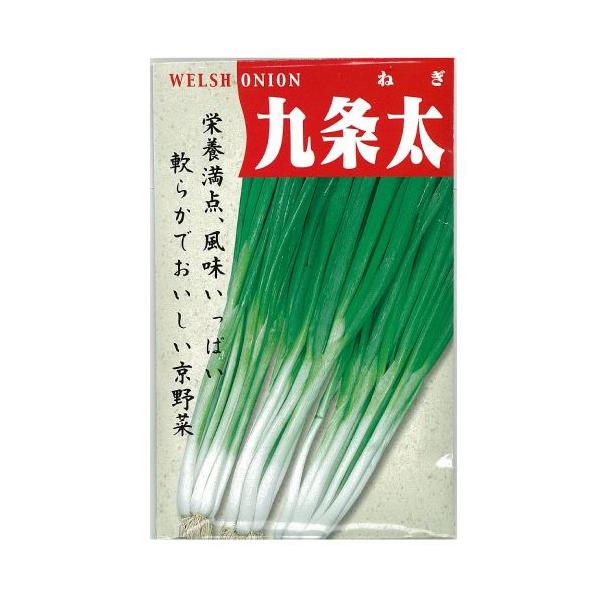 京都特産で東海以西に広く栽培されている葉ねぎ用種。草丈は60cm程度で3〜4本に分けつし、葉色が濃く、厚肉で葉先までやわらかで芳香に富み、品質上々。浅黄系より茎が太く、軟白部を長くして根深ねぎにも利用できる。耐寒性が強く、抽苔も比較的安定し...