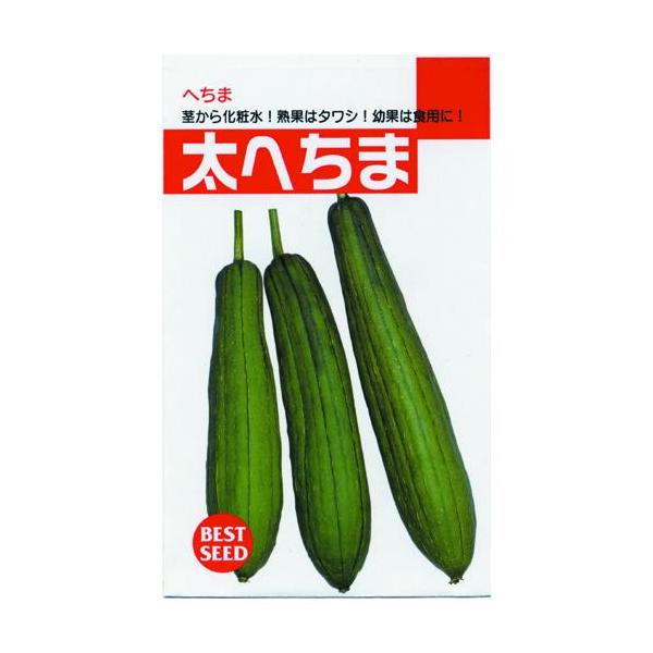 茎から化粧水！ 熟果はタワシ！  幼果は食用に利用できます。 ■容量は季節により変更となる場合がございますが、価格に変更はございません。 メール便で10袋まで同梱できます。