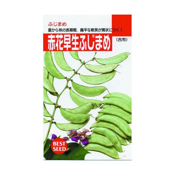 古市ふじまめより分系改良した赤花種。つるありで、草勢強く、耐暑性は極めて強い。極早生。莢は房状につき、へん平でやわらかく、香気があって各種料理に重宝。赤花種は白花種に比べて莢がややかたい。収穫は低温期で開花後20日、高温期では1〜2週間で、...