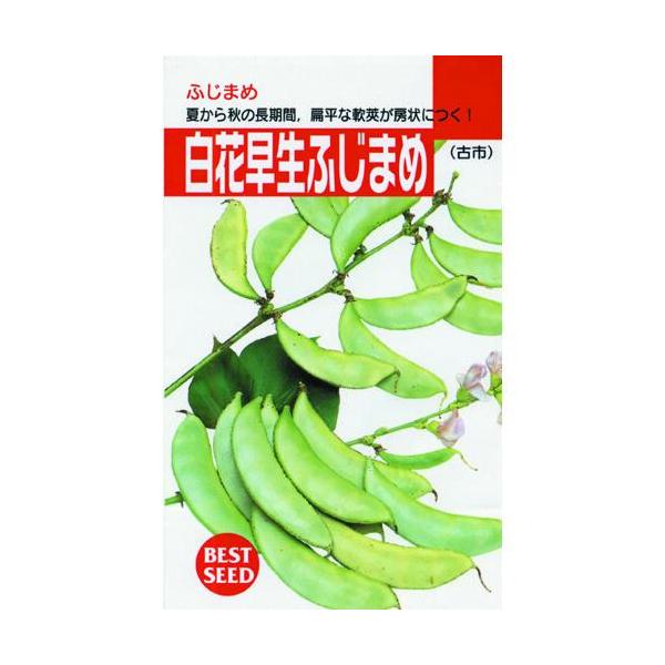 古市ふじまめより分系改良した白花種。つるありで、草勢が強く、耐暑性は極めて強い。極早生。莢は房状につき、扁平でやわらかく、香気があって各種料理に重宝。白花種は赤花種に比べて莢がやややわらかい。収穫は低温期で開花後20日、高温期では1〜2週間...
