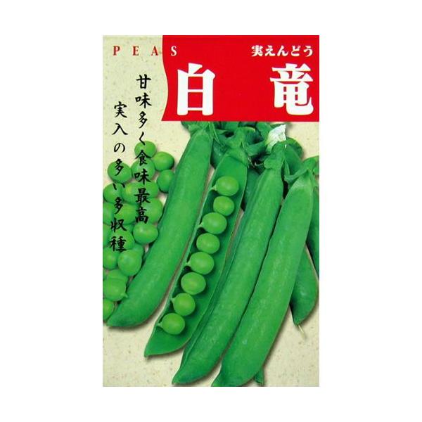 数量:100ml大粒の白目で、「ウスイ」よりもやや早生の、実とり専用の代表的品種。莢長は約15cmで、「ウスイ」よりも大きく、莢のそろい、品質ともにすぐれ、市場性が高い。草丈は約2.5mになり、強勢で、双莢性と分枝性にすぐれた豊産種。自家菜...