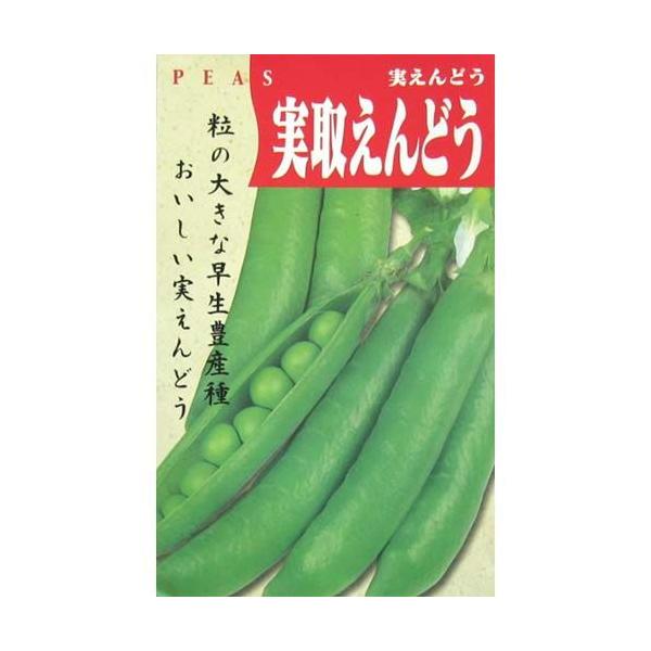 1莢に10粒の種実を含み、色鮮やか、莢揃いも良好です。甘味が多く、栄養価高く、おいしい品種です。栽培も容易で家庭菜園に好適の実えんどうです。 ■容量は季節により変更となる場合がございますが、価格に変更はございません。 メール便で10袋まで同...