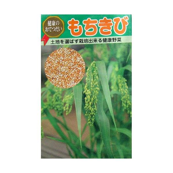 生育期間が短く、やせ地でも栽培できるので雑穀をこれからはじめる人にも優しい!水田転作としては向かず、休耕地の土壌回復に向きます。