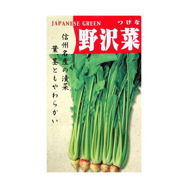 長野県野沢地方に古くから栽培されている日本特有のカブ菜。草勢旺盛で耐寒性にすぐれ、抽苔も安定しており、栽培はいたって容易。葉柄は丸くて長く、草丈60cmにもおよぶ。茎葉は繊維が少なく、やわらかで、さっぱりした風味は漬物に最高。その他、汁の実...