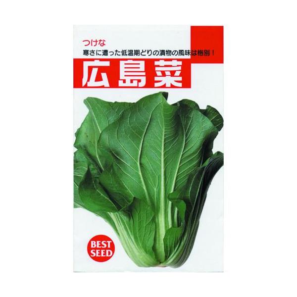 広島地方の代表的な漬菜で、草勢が強く、栽培が容易な豊産種。草姿は半開張性。葉は濃緑色で葉面が平滑な幅の広い大葉。中肋も広幅で肉が厚く、茎葉ともにやわらかい。一般平暖地は秋まきと春作、冷涼地は夏まきに適するが、特に寒さに遭った低温期どりの漬物...