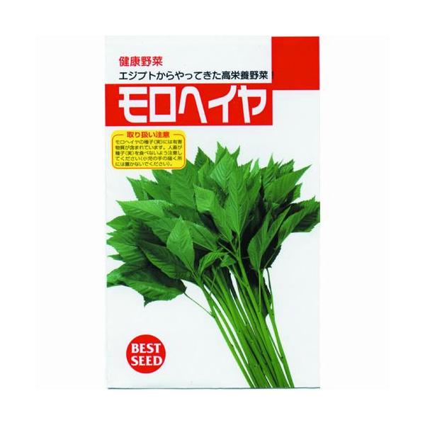 エジプト原産、「王様の野菜」という意味がある。 ビタミンAはホウレンソウの4倍、カルシウムは9倍とビタミン・ミネラル・繊維が豊富で栄養価が極めて高い。 軽くゆがいてたたくとぬ めりが出る。味は淡白で、どんな料理にも合。 定植後、草丈60cm...