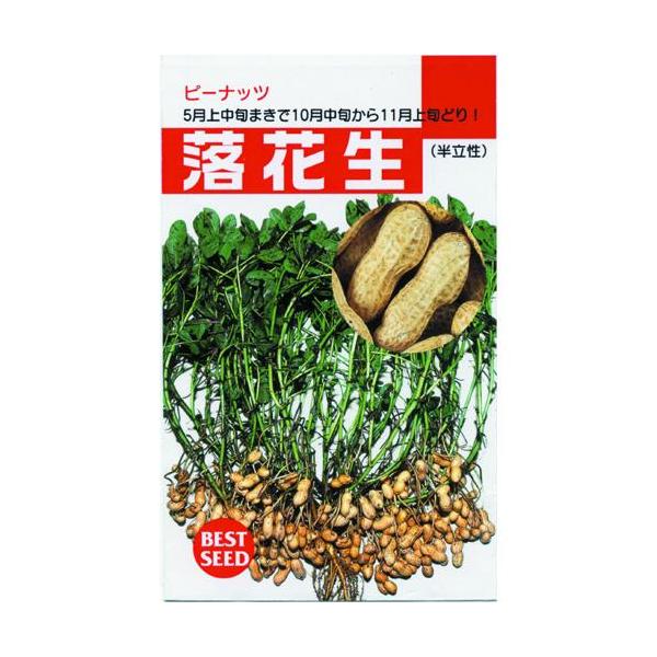 半立性の中粒種。草丈60cmの中生種で、草勢強く、分枝数が多くて、極めて豊産。2粒莢が多くて、莢のそろいがよい。食味もすぐれ、市場性が高い。 ■容量は季節により変更となる場合がございますが、価格に変更はございません。 メール便で10袋まで同...