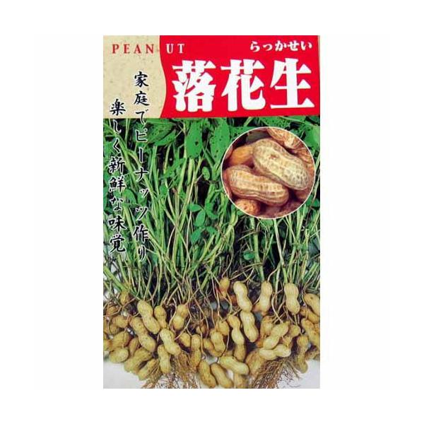 草勢強く、分枝性に富み、節間が短く着生が極めて多い豊産種！莢は揃い良くほとんど2龍莢となります。品質・食味も優れタンパク質・脂肪なども多く含まれています。 ■容量は季節により変更となる場合がございますが、価格に変更はございません。 メール便...