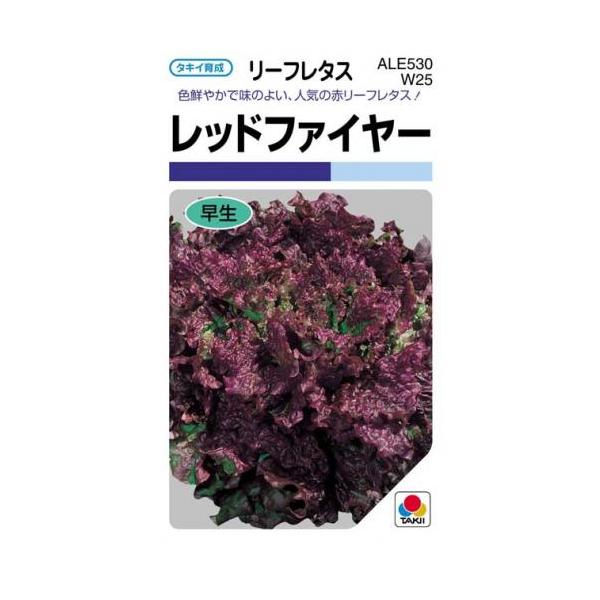 草勢強く、耐暑・耐病性にすぐれ、いたって作りやすい早熟の多収種。草姿は立性で、葉は幅広く、周辺から内部へと鮮やかな赤褐色と若草色で、表面はチリメン状を呈す。葉質はやわらかくて、食味もすぐれ、有色野菜としての利用度は広い。市場流通名「サニーレ...