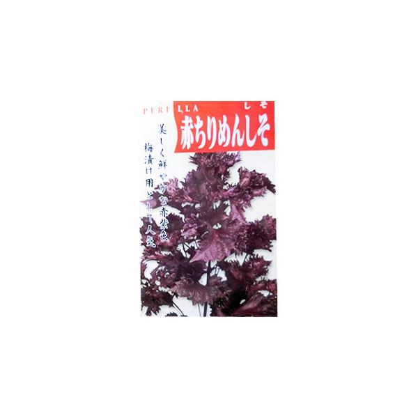 日本料理を引き立てる代表的な香辛野菜で、葉は表裏ともに濃赤紫色で縮みが多く、やわらかい。強勢で土質を選ばず、耐暑性が強くて作りやすい。草丈は70cm位にも伸びて多収できる。梅干しの色付けのほかに、穂じそ、芽じそとして、刺し身や天ぷらなどの添...