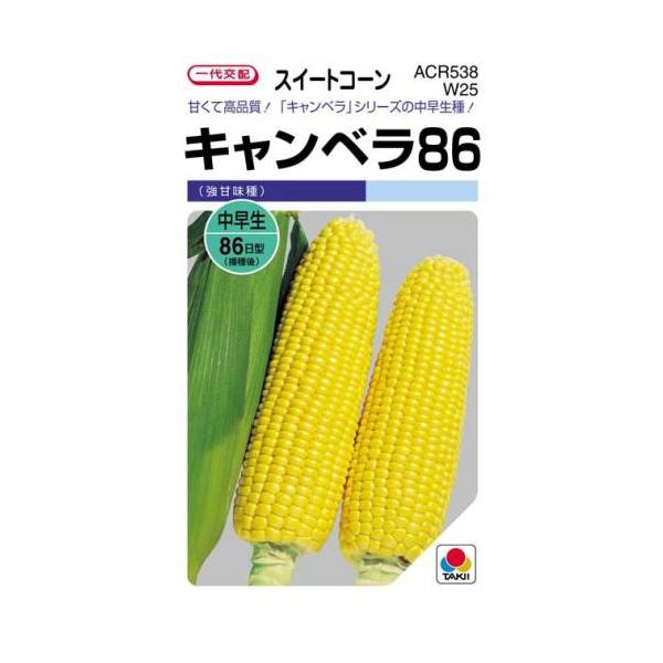 バイカラーコーン以上に甘味が強く、ナマでもおいしい品質極上の黄色粒種。熟期は中早生で、一般地のマルチ直播栽培では約86日で収穫できる。雌穂は苞付きで420g、長さ31cm程度の大穂で、先端不稔も少ない。粒列は16〜18条。草丈は180〜19...