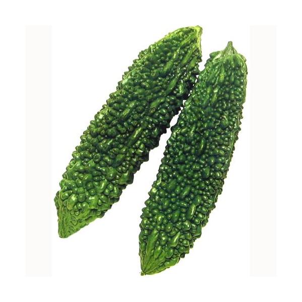 苦み少なく風味バツグンの沖縄ゴーヤです。開花後3〜4週間で収穫したものを、中のワタと種を取り除き、少し湯通し、薄くスライスしてサラダに、また、ゴーヤチャンプルの具として炒め物にご利用ください。夏ばて防止に最高です。 ■容量は季節により変更と...