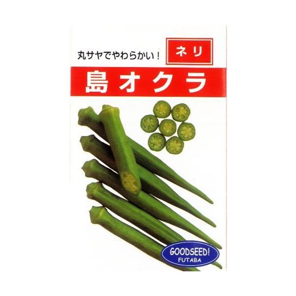 沖縄でよく利用されているオクラ！|丸莢で角がなく、やわらかくておいしい。|利用方法は角オクラと同様で、和えもの、煮物、天ぷらなどに。ビタミンCが多く、また腸の調子をよくし便秘や下痢に効果が高い整腸野菜です。 ■容量は季節により変更となる場合...