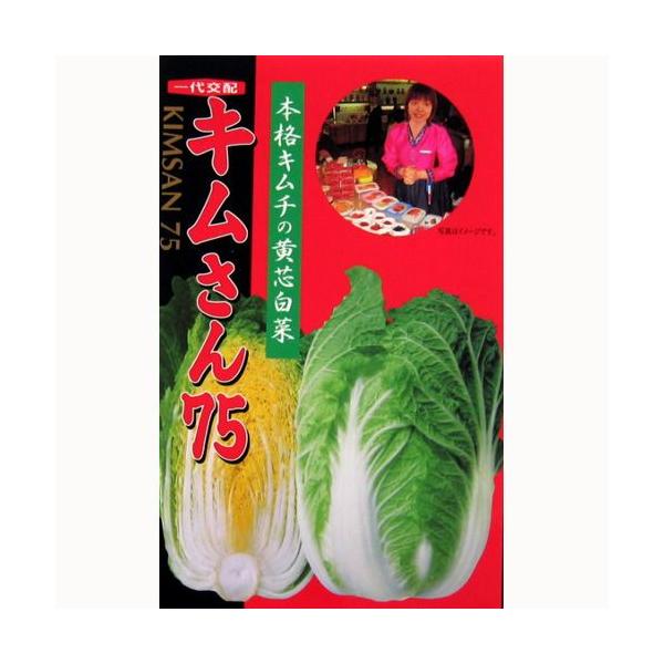 韓国で人気の黄芯種!従来の日本の白菜と比較して、球内水分が少なく白菜本来の旨味が出やすい。美味しい!キムチ漬、鍋物に最適。球型は半包皮の円筒形!球重3〜3.5kgの葉数系耐病性!外葉の黄化が少なく、ベト病に強い。軟腐・ウイルス病には中程度。...