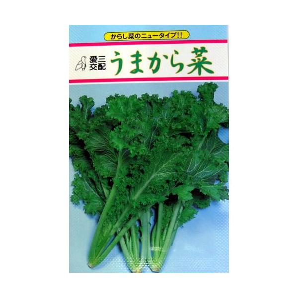 ■容量は季節により変更となる場合がございますが、価格に変更はございません。 メール便で10袋まで同梱できます。