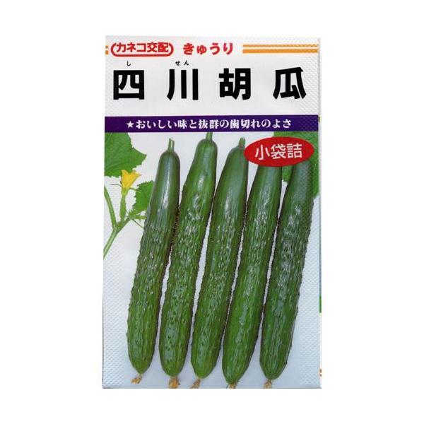 従来の品種にない歯切れの良さを持った、食味の良い白イボ短型四葉キュウリです。主枝着果率は春まきの場合60%位で、葉はやや大きく、やや角味をおびています。枝の発生は良く、間延びせず、子蔓の雌花着生は安定しています。果実の長さは21〜25cmで...