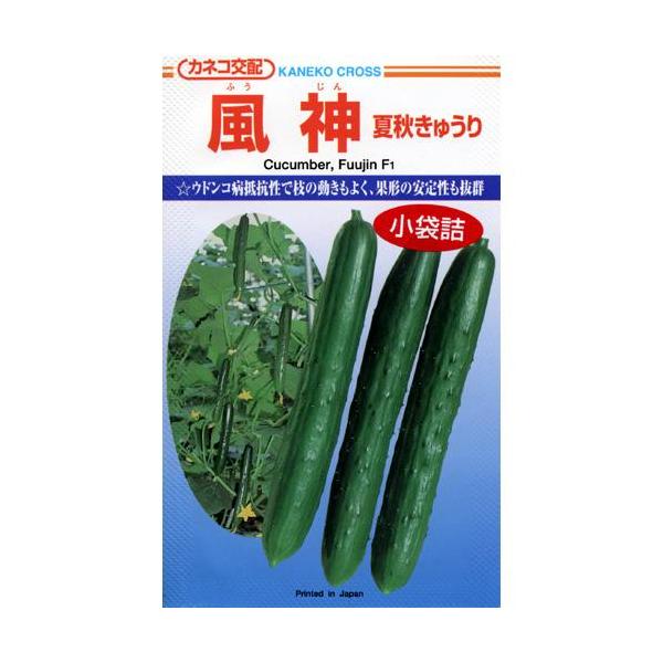 主枝着果率は30〜40%位と露地キュウリとしては強い着果性を示します。側枝の雌花の連続性は強く、ほぼ1、2節とも連続して着きます。側枝の発生は良く、後半になっても枝の動きは良いです。葉は小さくて角形をしています。果実は20〜21cm位と規格...