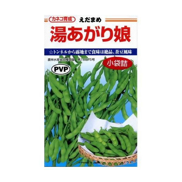 茶豆特有の芳香を持ち、食味の良さに特に影響するショ糖含量の多い食味抜群の品種です。茶豆風味を有しますが、エダマメ収穫時の子実色は鮮やかな緑色、完熟種子色は黄色です。毛茸は白く、ゆであがった莢色は鮮やかな緑色で、市場性の高い品種です。栽培日数...