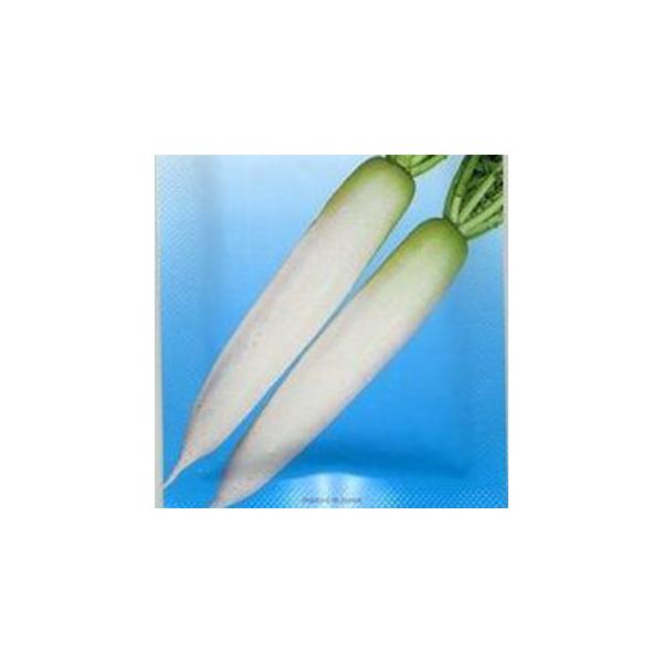 根形は尻詰まりの良い、総太り型となり曲がりが少なく、揃いの良い品種です。首部はやや淡い緑色、肌はなめらかで、ヒゲ根は細いです。 肉質は緻密で、食味が良くス入りは特に遅いです。 極晩抽性で、草姿は中間型、草勢はややおとなしいです。萎黄病抵抗性...