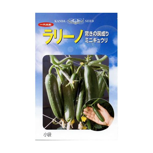 ■容量は季節により変更となる場合がございますが、価格に変更はございません。 メール便で10袋まで同梱できます。