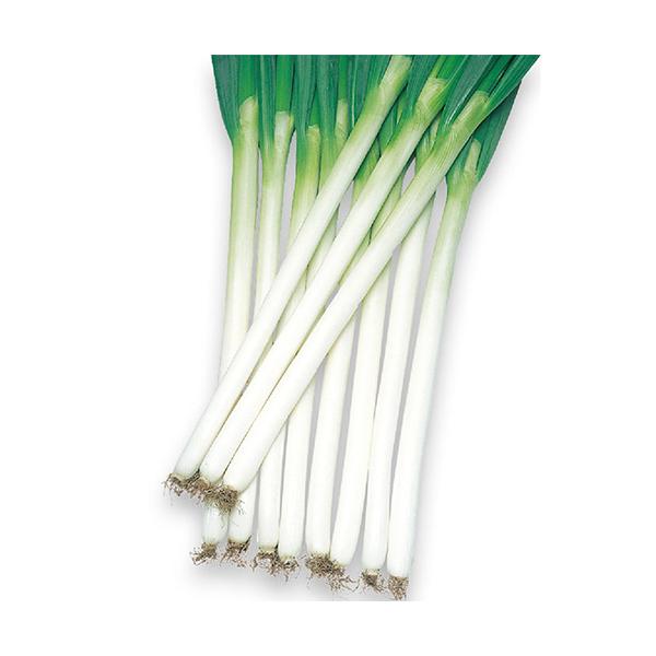 ■この商品はメール便不可です。宅配便でのお届けとなります。