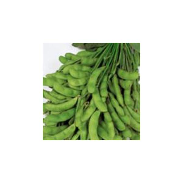 風味よく、甘みがあり、食味がきわめてすぐれた白毛の中早生茶豆です。莢つきがよく、2〜3粒の莢がたくさんとれます。莢は濃緑色で、ゆで上がりの色がさえます。