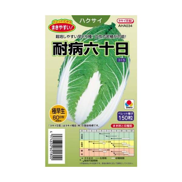 ウイルス・軟腐・白斑病に強く、草勢旺盛でいたって作りやすい早どり種。外葉が小さくて草姿立性で密植可能。球頭はとがるが、胴張りのよい円筒形で、よくしまり、品質がすぐれ、貯蔵・輸送性に富む。熟期は極早生。適期まきでは、播種後約60日で2.3kg...