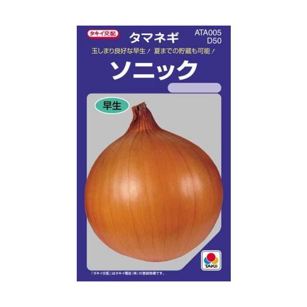 玉は球形の大玉によくそろい、早どりができる早生種。球の色ツヤよく、首部も細くて、よくしまり、球重は1球平均240gで、切り玉に最適。べと病や灰色腐敗病にも強く、草勢旺盛で、たいへんに作りやすい。切り玉出荷が本命であるが、吊り玉にした場合でも...