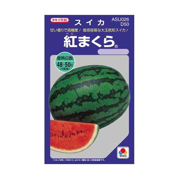 ラグビー型の甘〜〜いすいか！独特の形と香りで、直売所で目立ちます。・味は酸味を押さえてあまさが際立ち、独特の甘い香りがする。・肉質はシャリ感があり、高糖度て安定する。・形はユニークなマクラがたで、子どもたちにもうけること間違いなし！ ■容量...