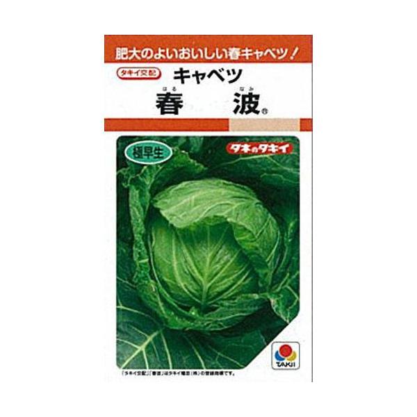 草勢旺盛で、晩抽性にすぐれた秋まき極早生種萎黄病に強く、生育旺盛で晩抽性にすぐれ、玉肥大のよい秋まきの極早生種。外葉強健で栽培適応性が広い草姿は中立性。外葉は鮮緑色でやや大きく育ち、作型適応能力が高く、一般平暖地の秋まき4月どりのほか、年内...