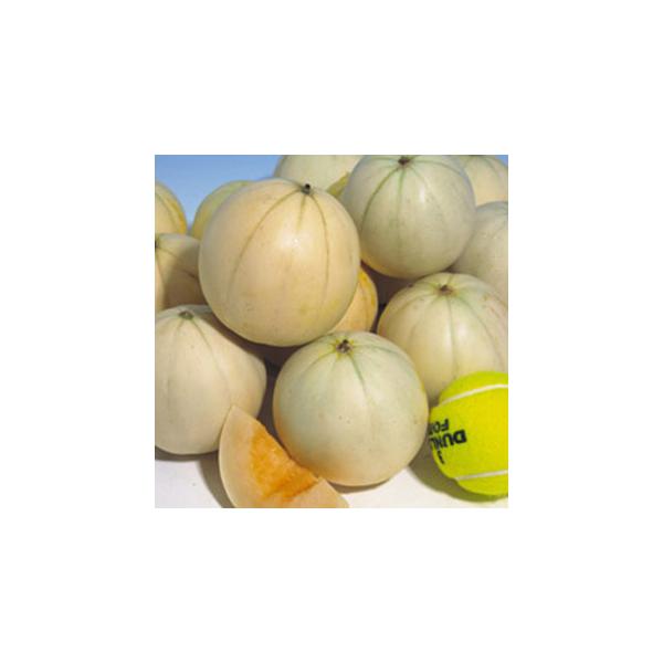 ■容量は季節により変更となる場合がございますが、価格に変更はございません。 メール便で10袋まで同梱できます。