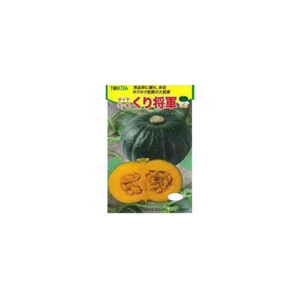 ■この商品はメール便不可です。宅配便でのお届けとなります。