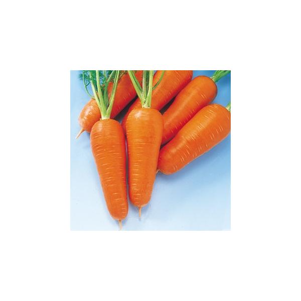 ■この商品はメール便不可です。宅配便でのお届けとなります。