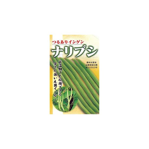 ■この商品はメール便不可です。宅配便でのお届けとなります。