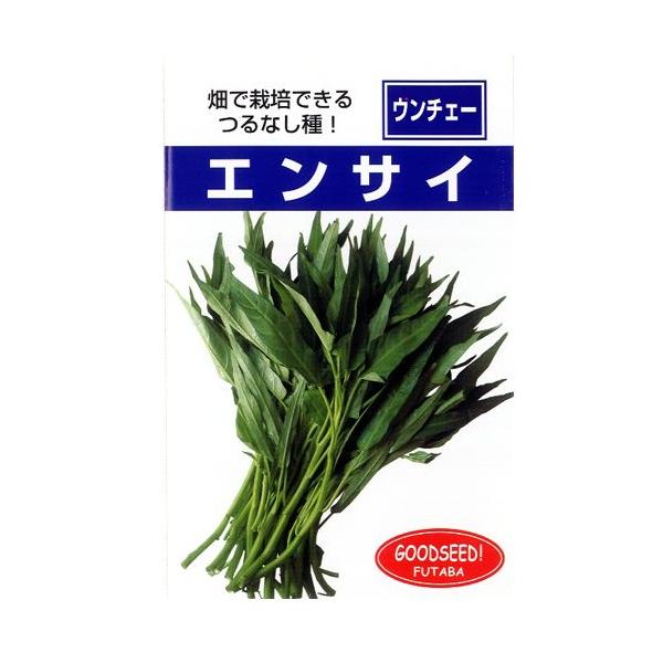 沖縄で広く栽培されているエンサイ。ホウレン草のように畑でも栽培できる、つるなしタイプの品種。草姿は立性で中細葉なので収穫しやすい。　非常に暑さに強く夏場の葉野菜として重宝する。油炒めがポピュラーだが、味にクセがないので、いろいろな料理に利用...